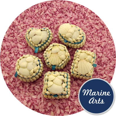 White Shell Jewellery Box - Blue Lined - Medium Assorted, Marine Arts ...