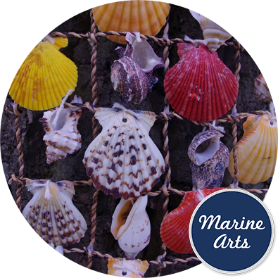 Shell Ladder - Small, Marine Arts - Wholesale Shells