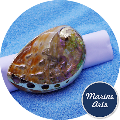 Silver Edge Napkin Ring - Red Abalone (2 Pack), Marine Arts - Wholesale ...