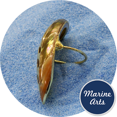Silver Edge Napkin Ring - Red Abalone (2 Pack), Marine Arts - Wholesale ...