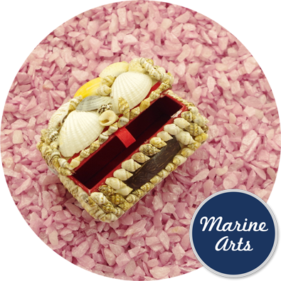 Shell Treasure Chest - Red Lined - Medium, Marine Arts - Wholesale Shells