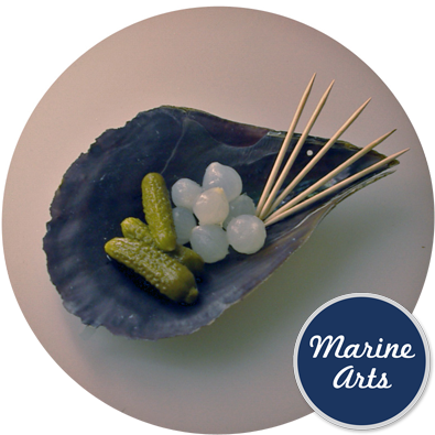 Polished Black Pen Shell, Marine Arts - Wholesale Shells