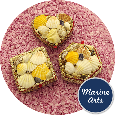 White Shell Jewellery Box - Blue Lined - Medium Assorted, Marine Arts ...