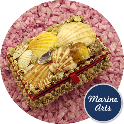 Shell Jewellery Box - Red Lined - Large Assorted, Marine Arts ...